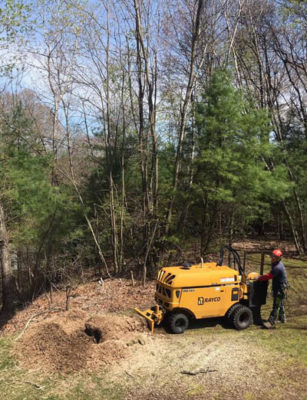 Stump Grinding FAQs: What You Need To Know About Stump Removal ...