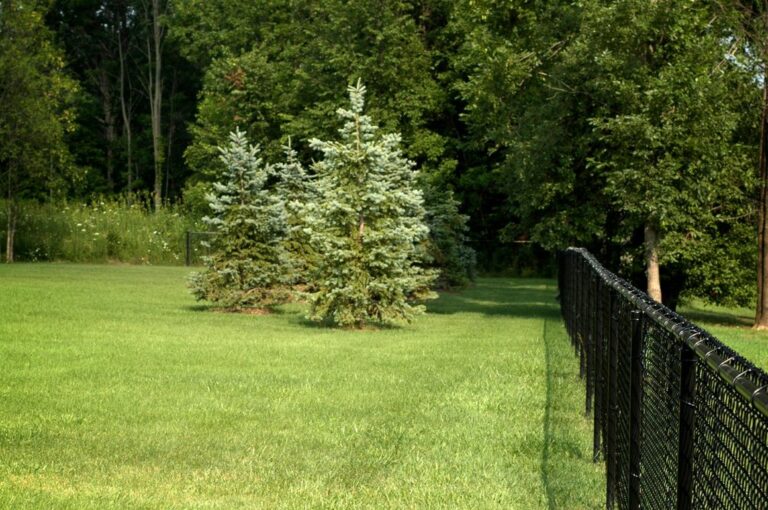 Who is Responsible for a Tree in MA? It Depends on Who Owns the Tree ...