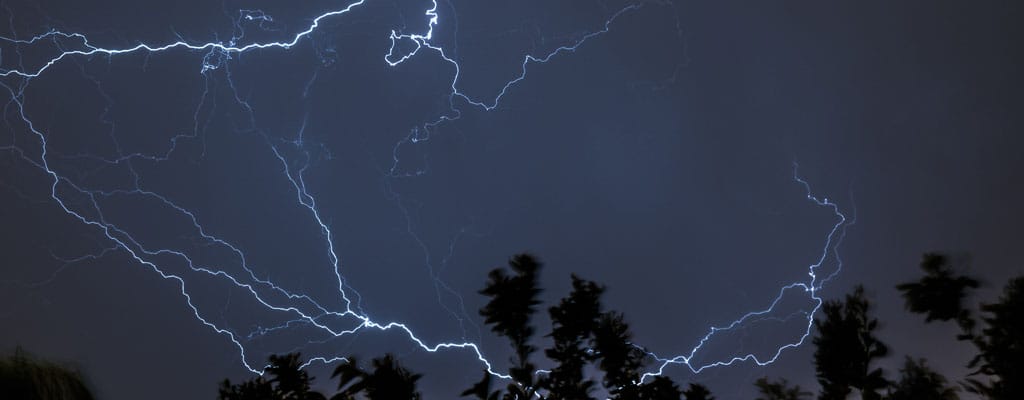 What Happens When Lightning Hits A Tree? | American Climbers Tree ...